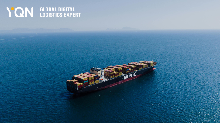 The Future of Shipping Alliances in 2025